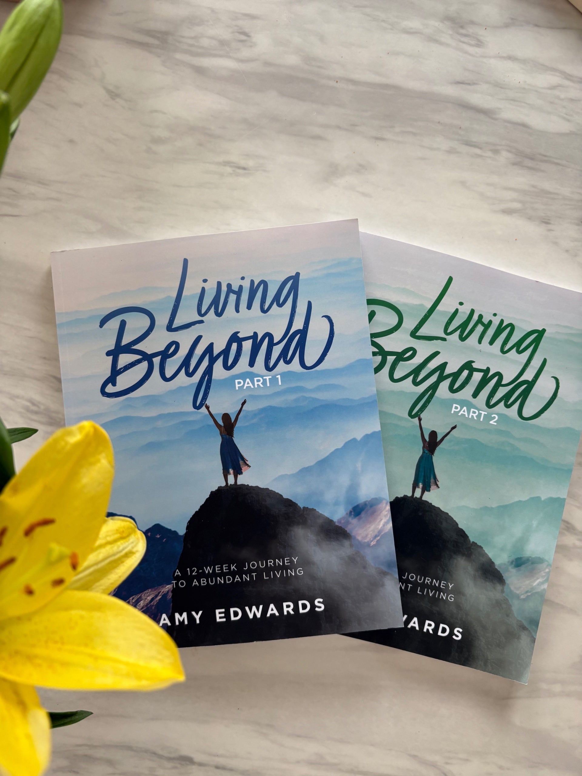 Living Beyond Book Set (Part 1 & 2) | Piedmont Baptist Bookstore